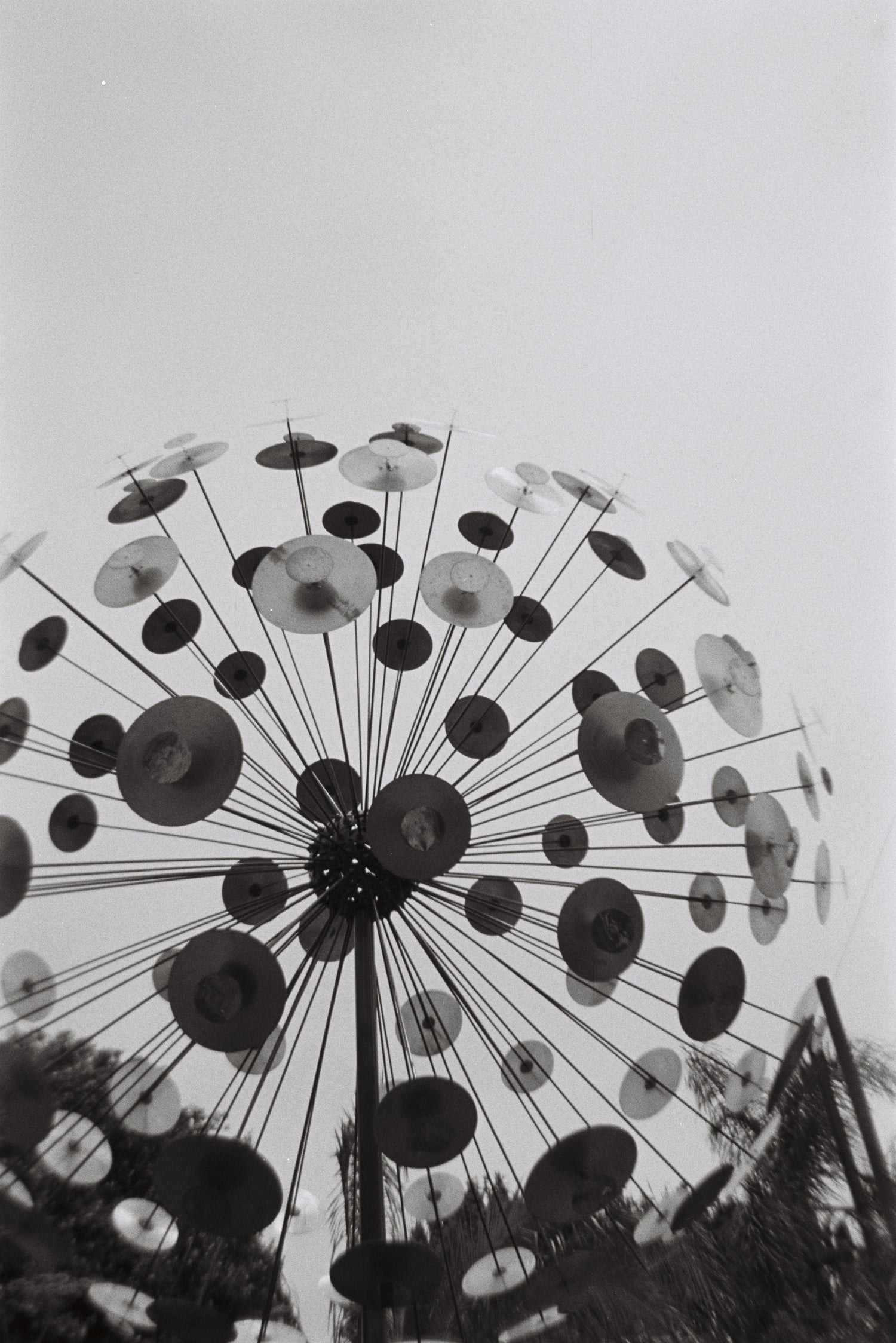 Nana Camera - The Journey So Far – FilmNeverDie